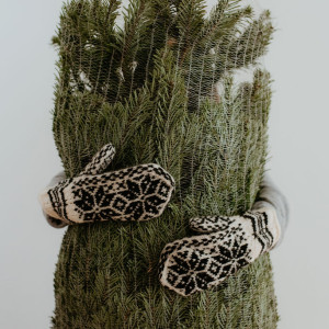 Christmas tree campaign to help those without a home | Scottish Housing ...