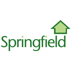 Springfield Properties consults on new homes plan in Barlanark ...