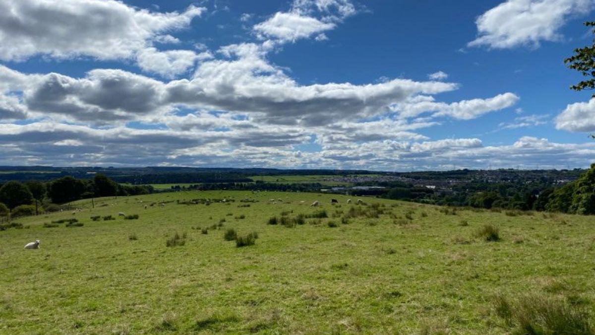 ‘Meaningful’ Land Reform Bill introduced | Scottish Construction Now