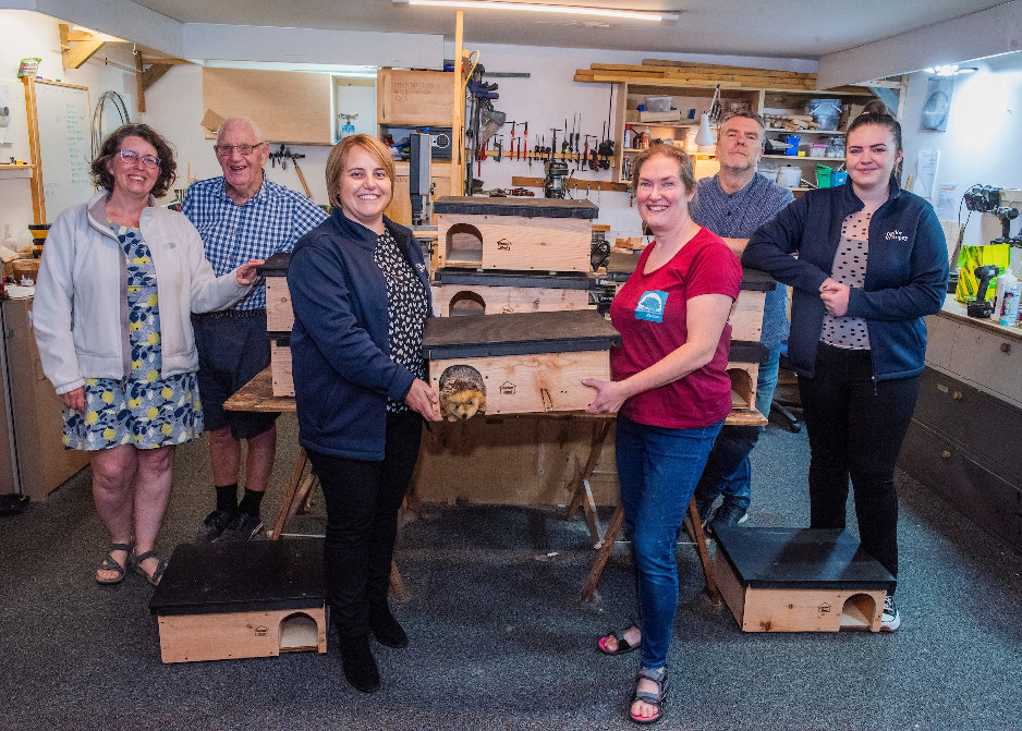 Highways and houses for hedgehogs at Taylor Wimpey project | Scottish ...