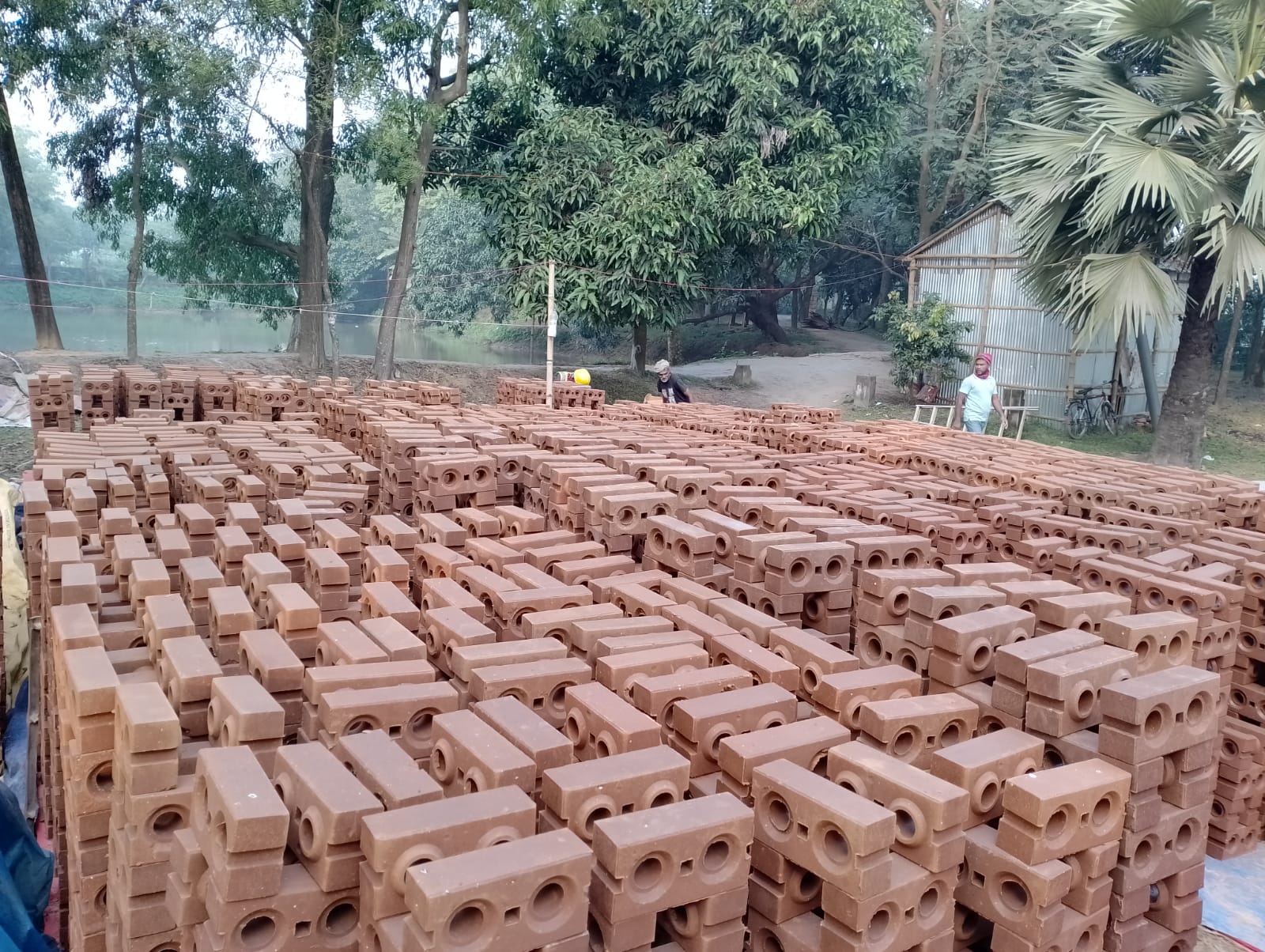 Disaster resilient homes: the Dundee design that could save communities ...