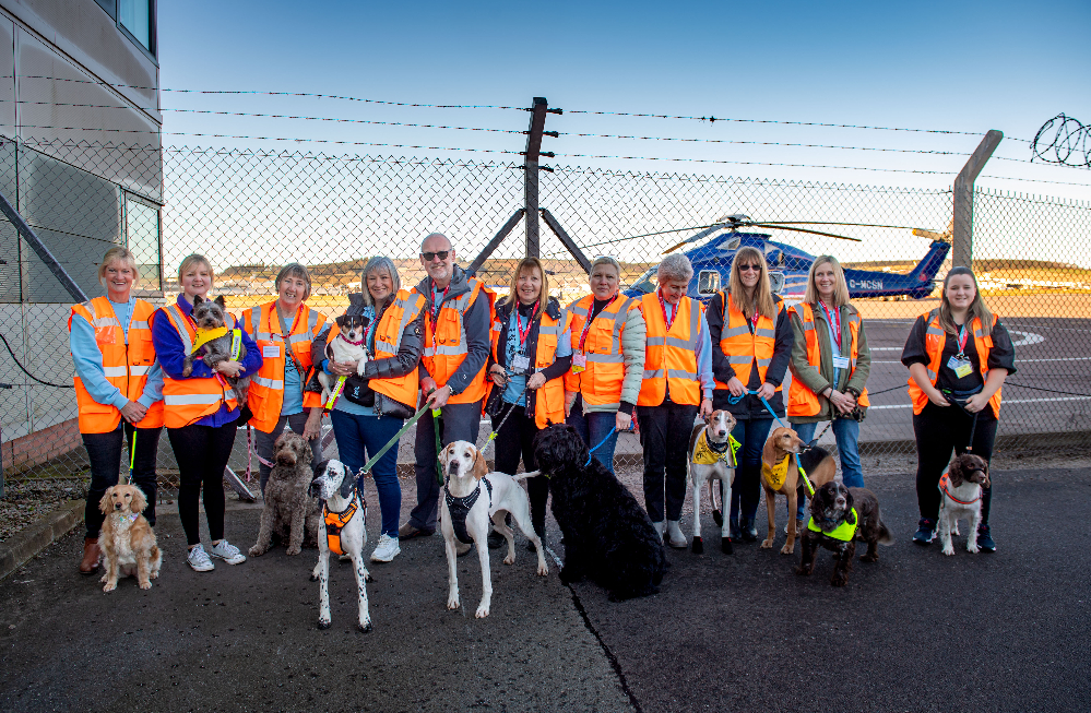 Charity Spotlight: Canine crew ready for duty as Helipets launches in ...